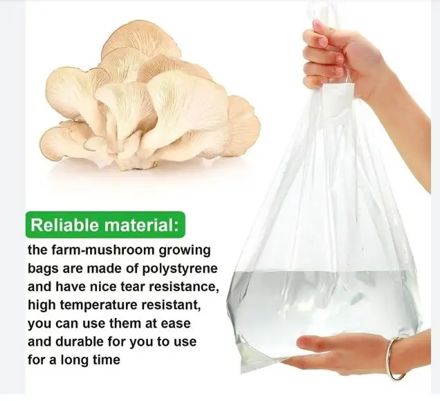 Mushroom Grow Bags - Durable, Degradable, and Customizable
