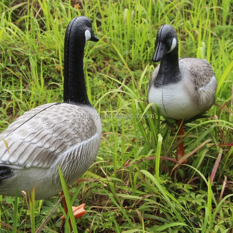Eva Or Xpe Foam Hunting Goose Decoys Canada Goose Decoys For Wild ...