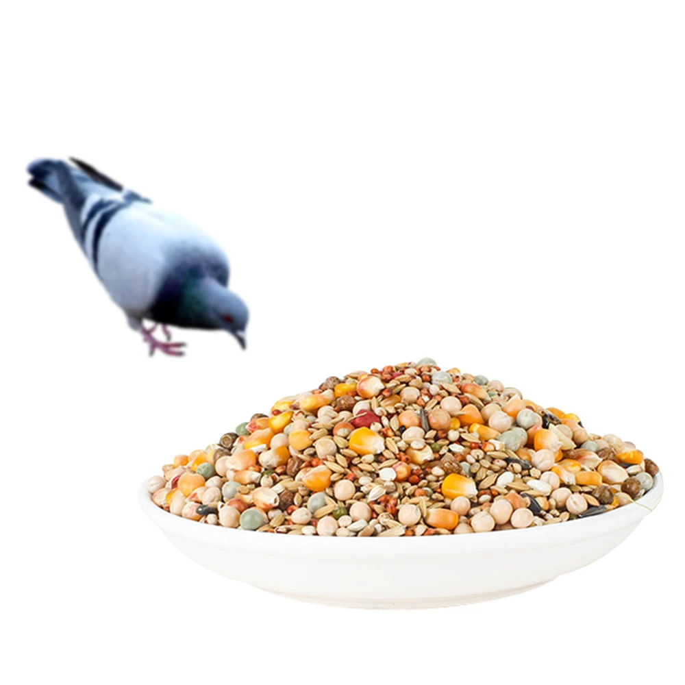 Wholesale Balanced Nutrition Mix Pigeon Food Grain For Racing And ...