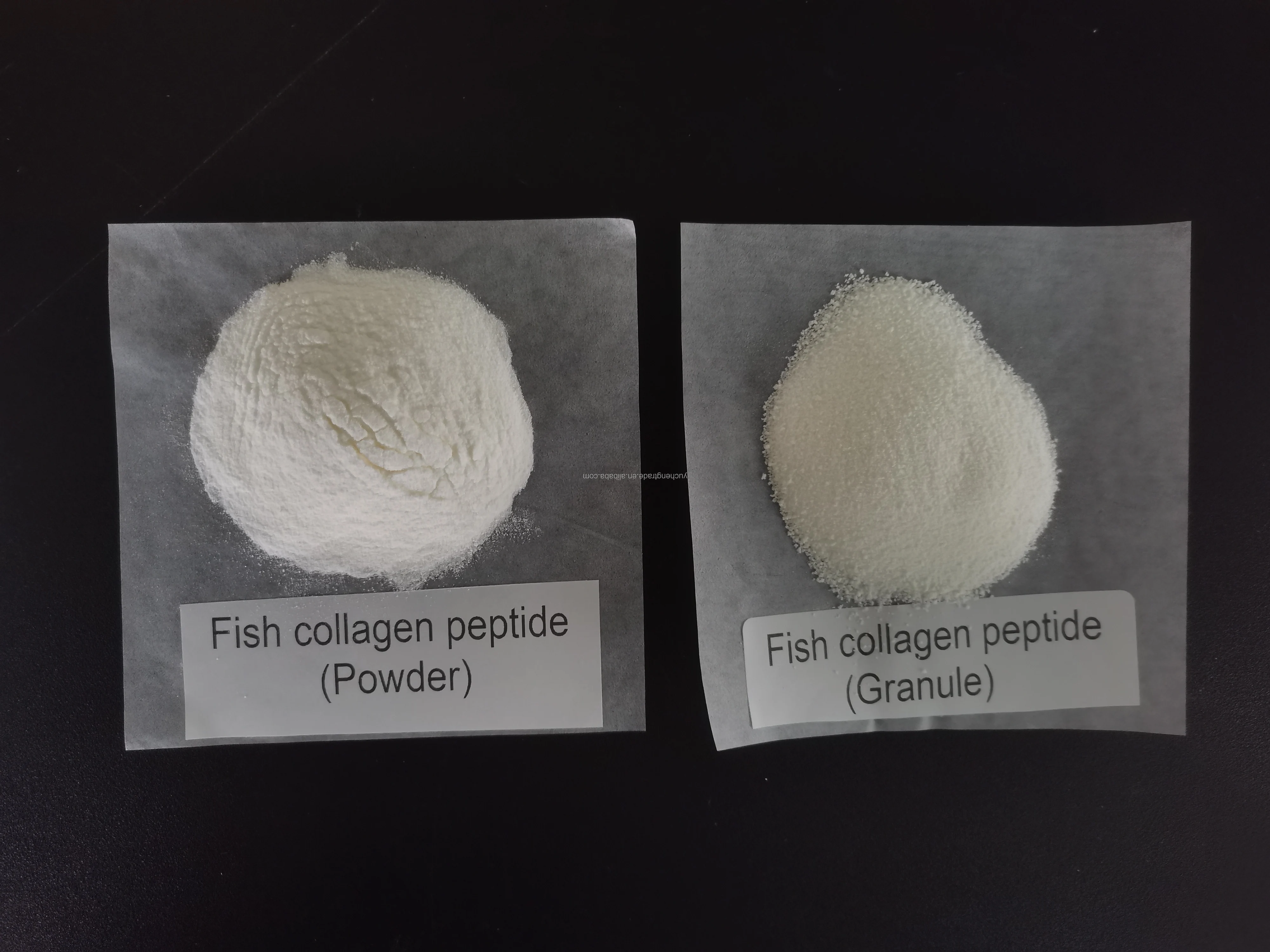 Elastin Vital Proteins - Hydrolyzed Fish Collagen Peptides