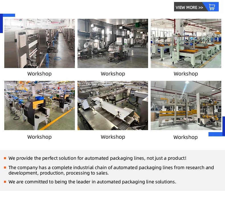 PIZZA Automation Flow Wrapping Machine Multi-function Food Pillow Type ...