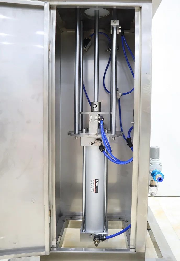 Stainless Steel Piston Transfer Pump - Efficient Liquid Feeding