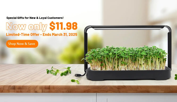 Decorative Indoor Garden Smart Plant Table Hydroponic Growing Systems ...