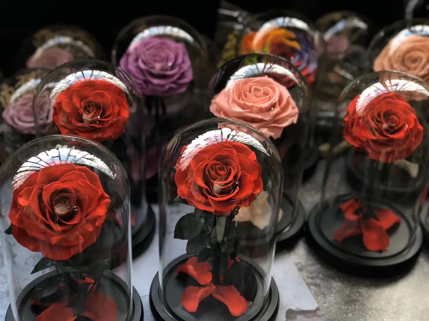 Decor Natural Lasting Everlasting Roses Immortal Forever Eternal ...