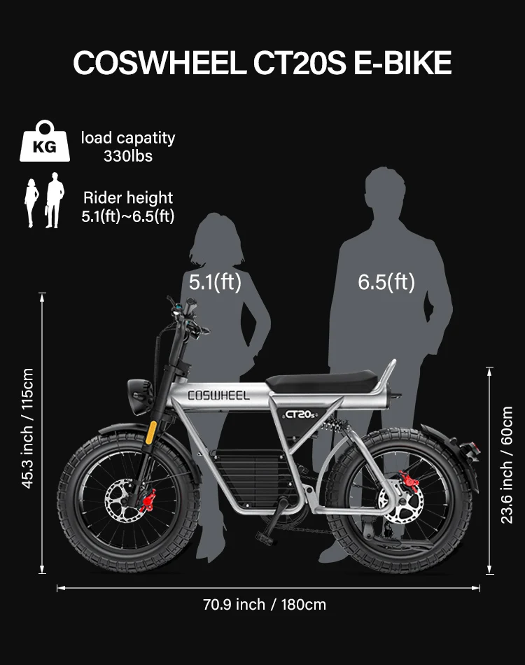 China Direct Coswheel Ct20s New Arrival E Bike 7 Speed Fat Bike ...