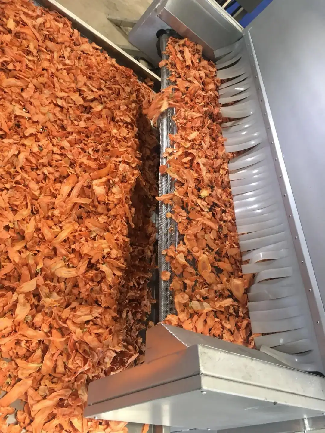 Cassava Banana Chip Black Pepper Charcoal Briquette Red Chilli Conveyor ...