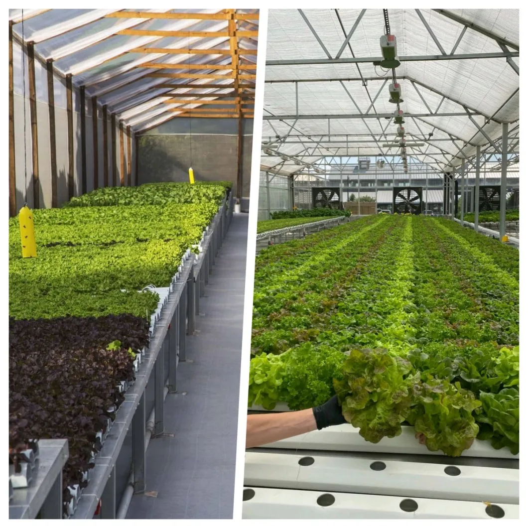 Agricultural Greenhouses Hydroponics Gully Vertical Farming Gutter ...