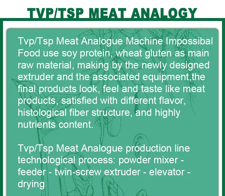 Sunpring What Are Soya Chunks Production Process What Are Soya Chunks ...