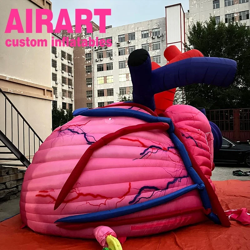 Giant Inflatable Human Organ Heart Inflatable Cardiac Inflatable Body ...