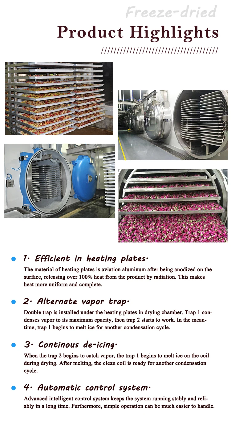 Liyofilizasyon Equipment - High Efficiency Drying Solutions