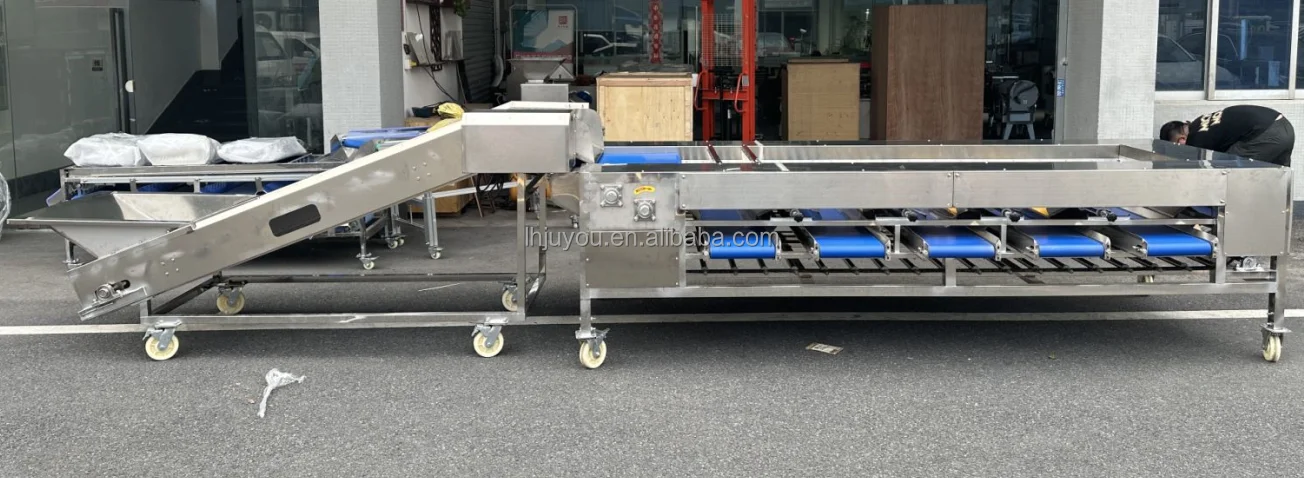 Fruit and Vegetable Sorting & Grading Machine - High Efficiency