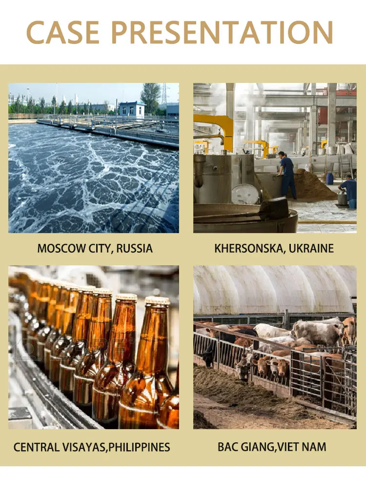 Micro Bubble Dissolved Air Flotation Releaser Nano Generator For Daf ...