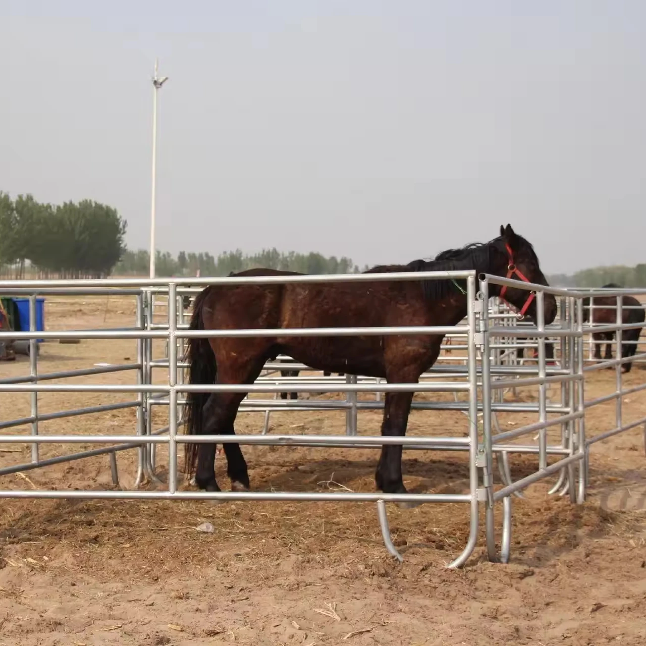 High Zinc Coated Aesthetic Rust Prevention Livestock Fence Panel Caw ...