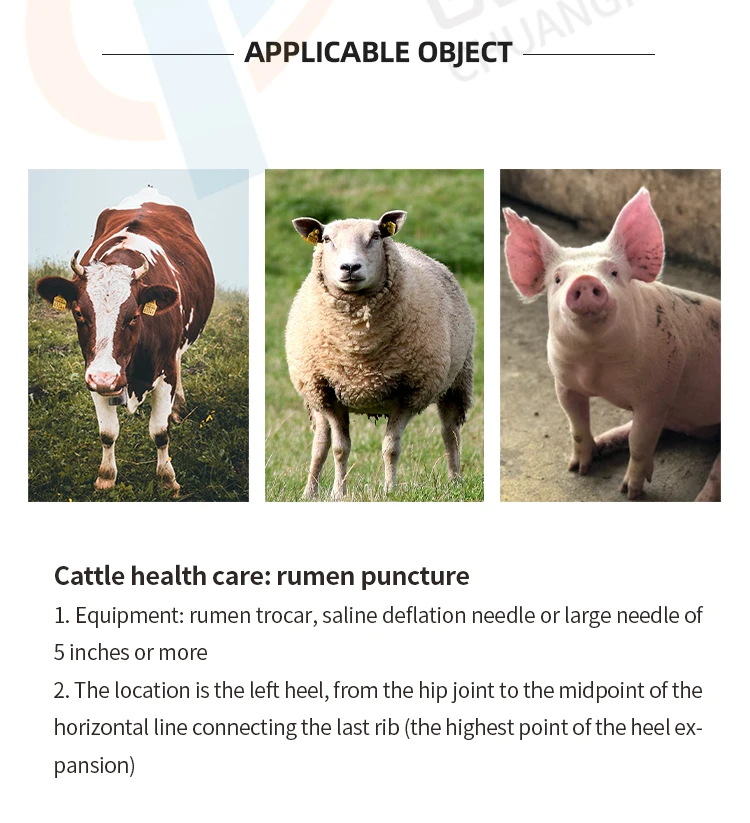 Animal Husbandry Tool Cow Nipple Puncture Needle for Milk Passing ...