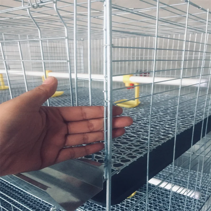 Chick Brooder Broiler/brooding Pakistan Broiler Cage - Buy Brooder Heat ...