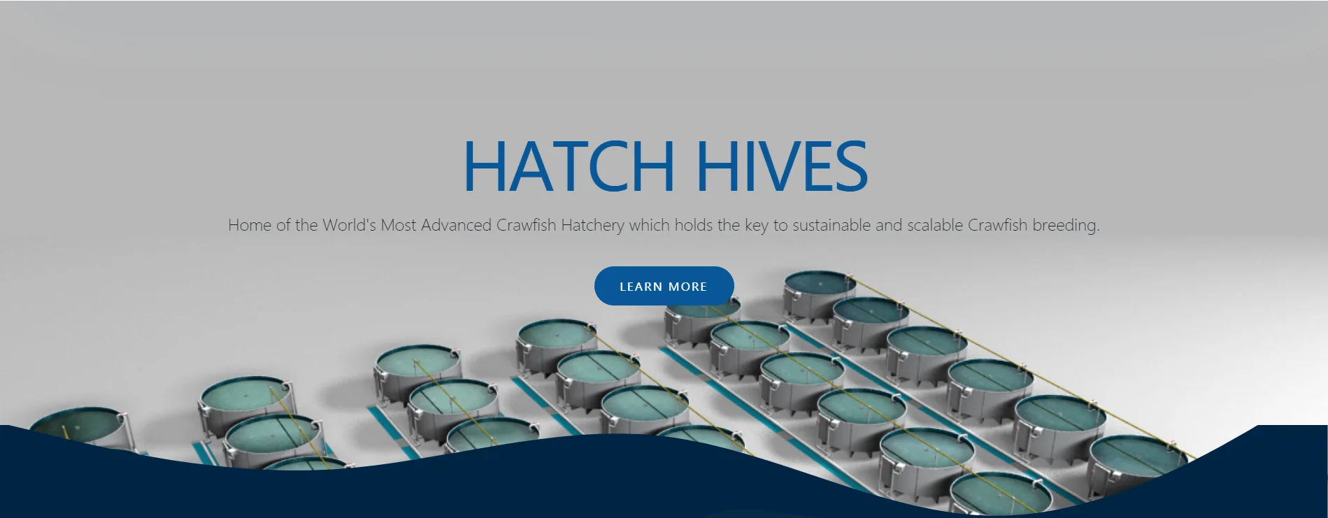 Recirculating Aquaculture Fish Farming RAS System for Crayfish Shrimp ...