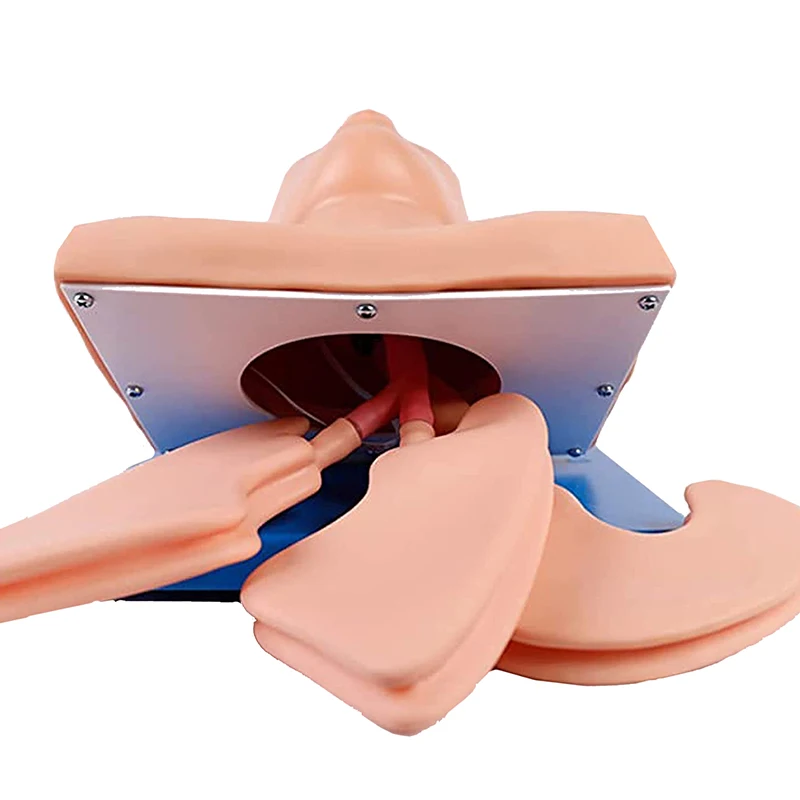 Human Tracheal Intubation Model Nasal Intubation Airway Training ... Human Tracheal Intubation Model Nasal Intubation Airway Training ...