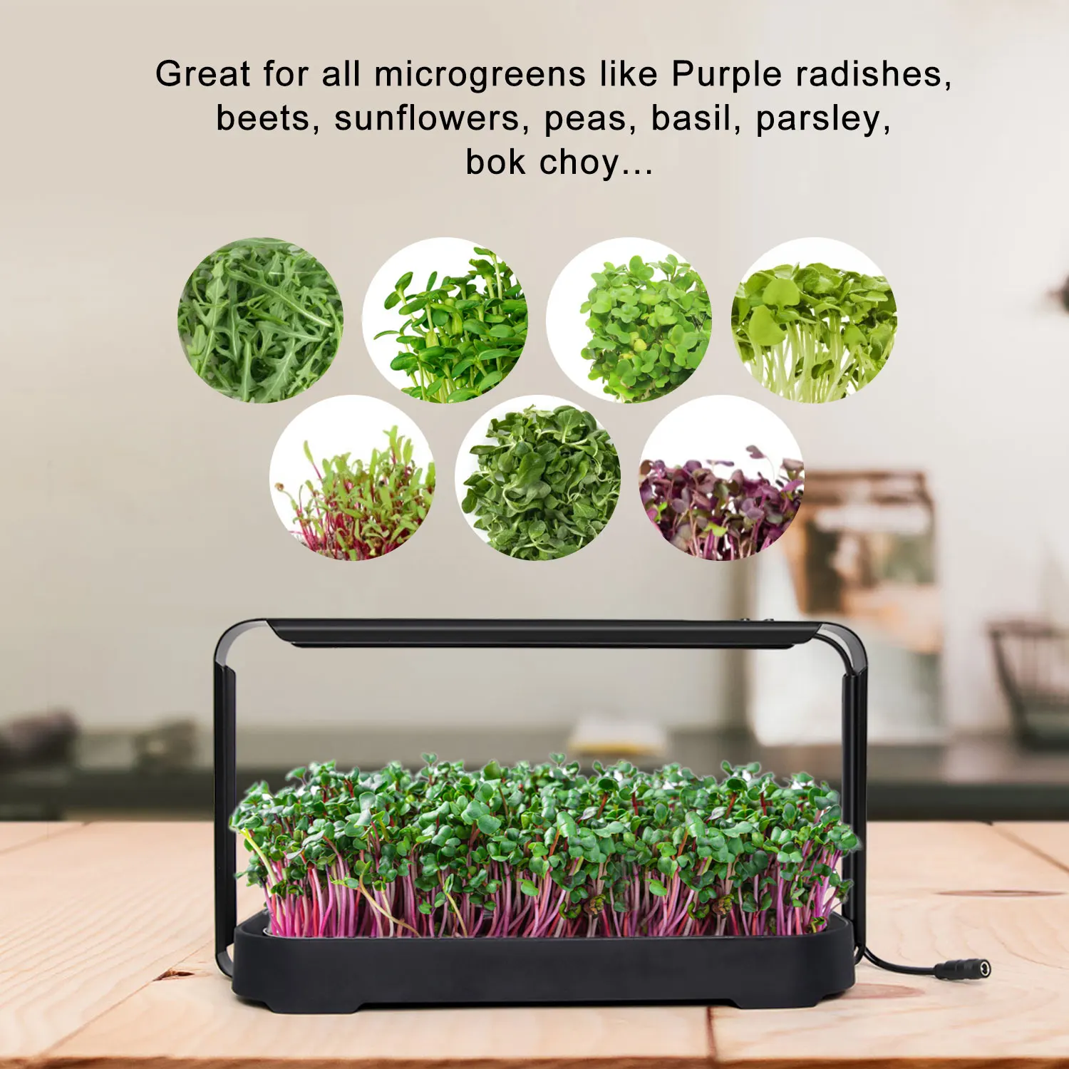 Indoor Germination Propagation Kit - Smart Grow System