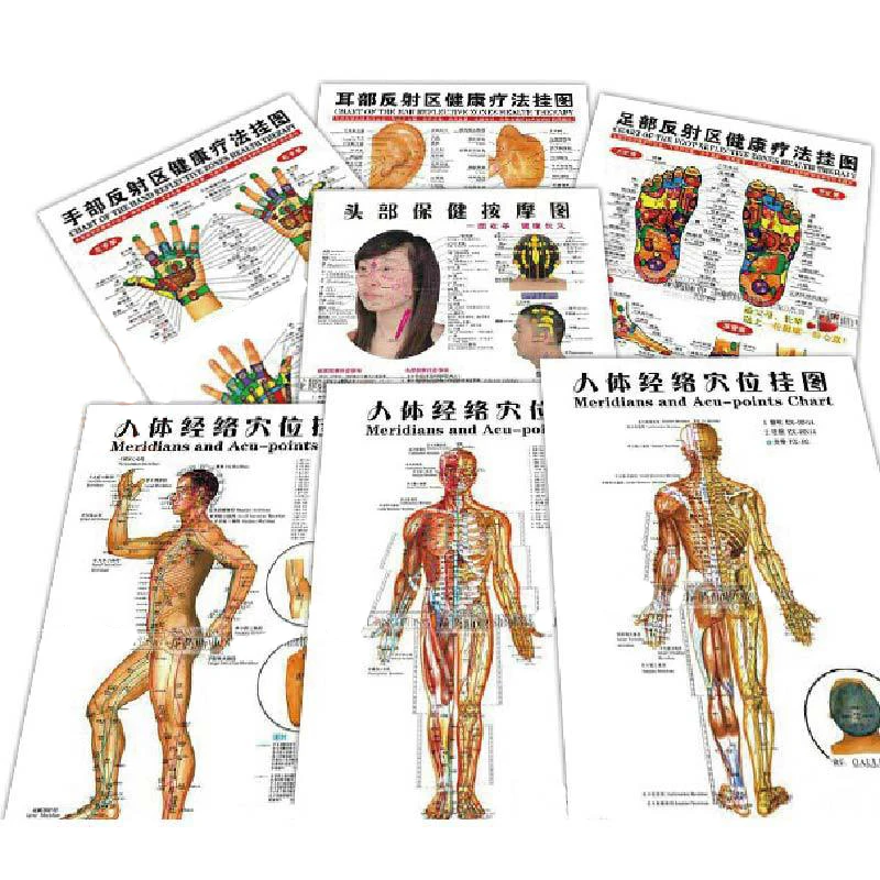 Chinese medical Acupuncture Charts points Acupuncture wall map human ...