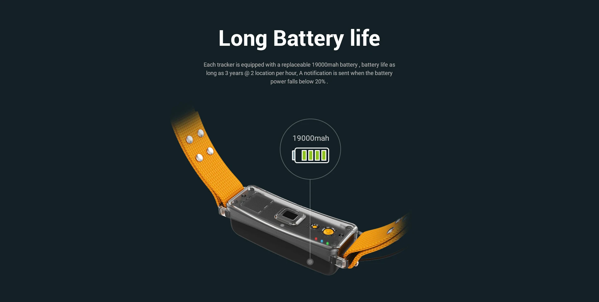 Lorawan GPS Cattle Collar - Precision Tracking for Livestock