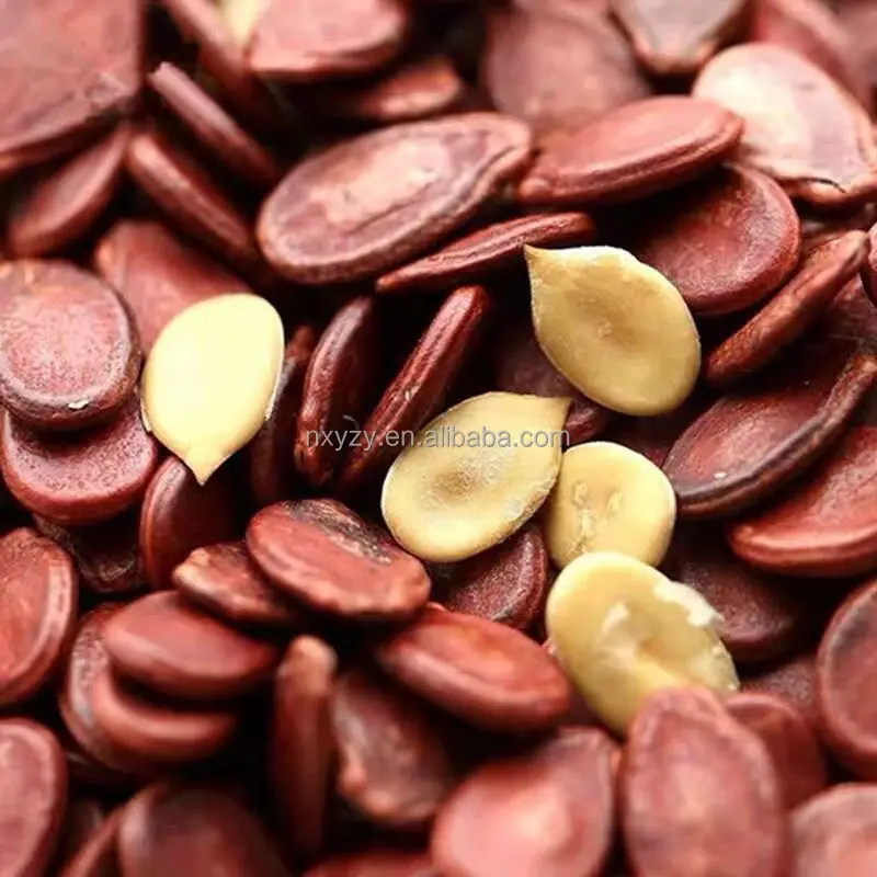 Hot Selling Inner Mongolian Red Color Watermelon Seeds Melon Seeds ...