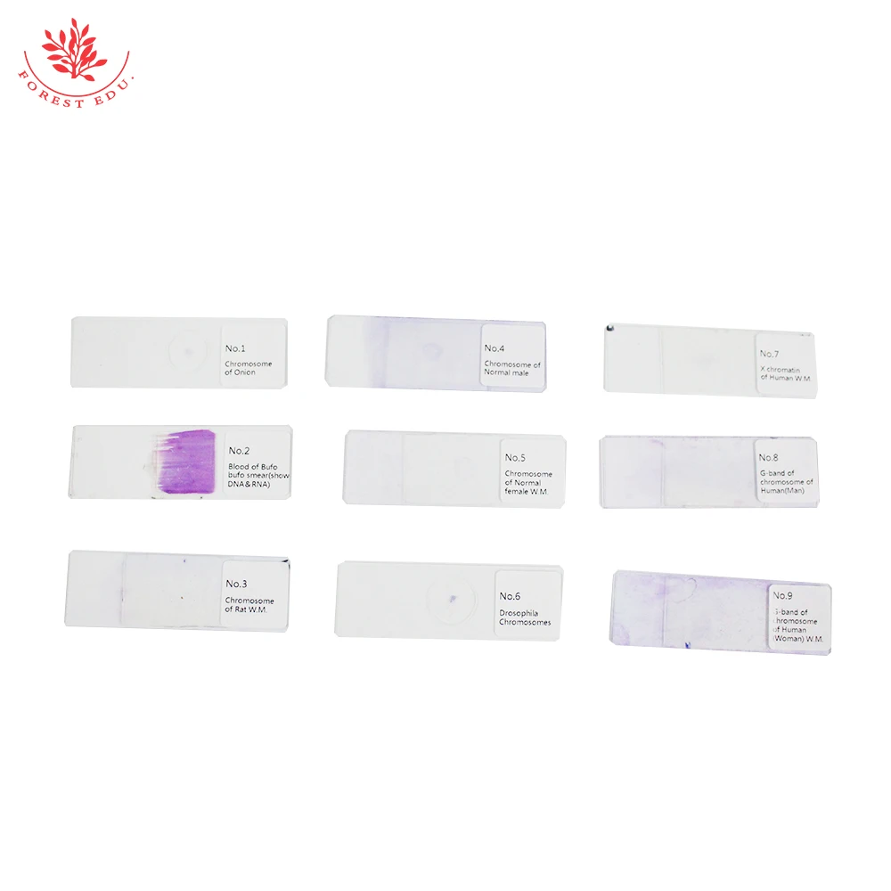 Teaching Resources And Educational Equipment School And Medical Hot ...