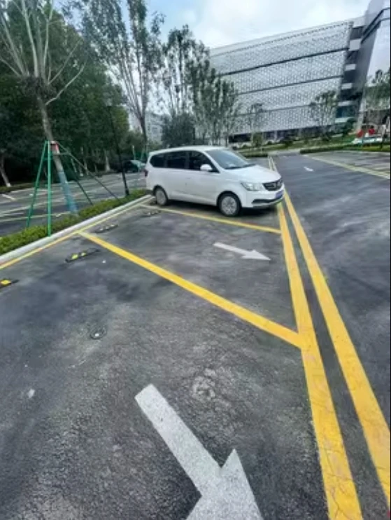 Dingtek DO209 Smart Wireless Parking Space Occupancy Sensor