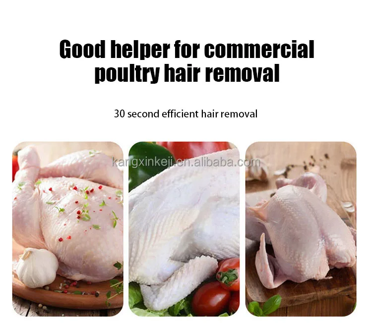 Automatic Feather Removal Poultry Machine Chicken Plucker - Buy ...