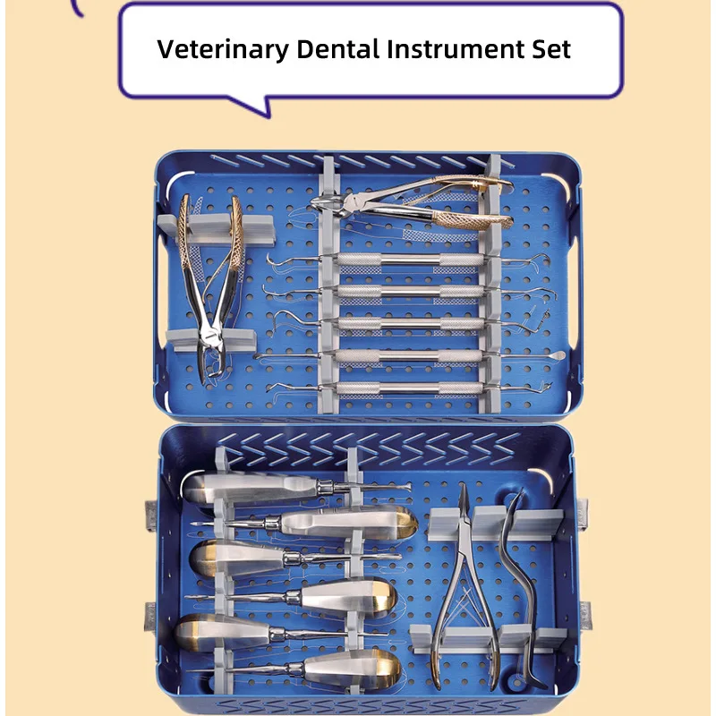 Small Animal Dental Instrument Set Periodontal Surgery Instrument Kit ...