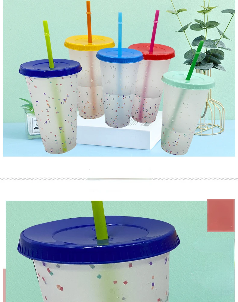 700ml Wholesale High Quality Custom Water Cup Colorful Frosted Drinking ...