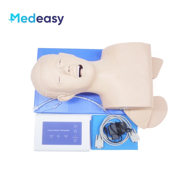 Adult Airway Intubation Training Mannequin | Realistic Medical ...