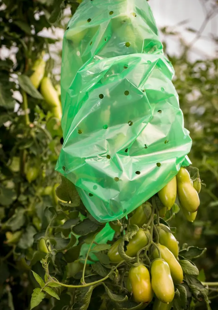Garden Green Plastic Tomato Tube Film With 1cm Holes - Buy Plastic ...