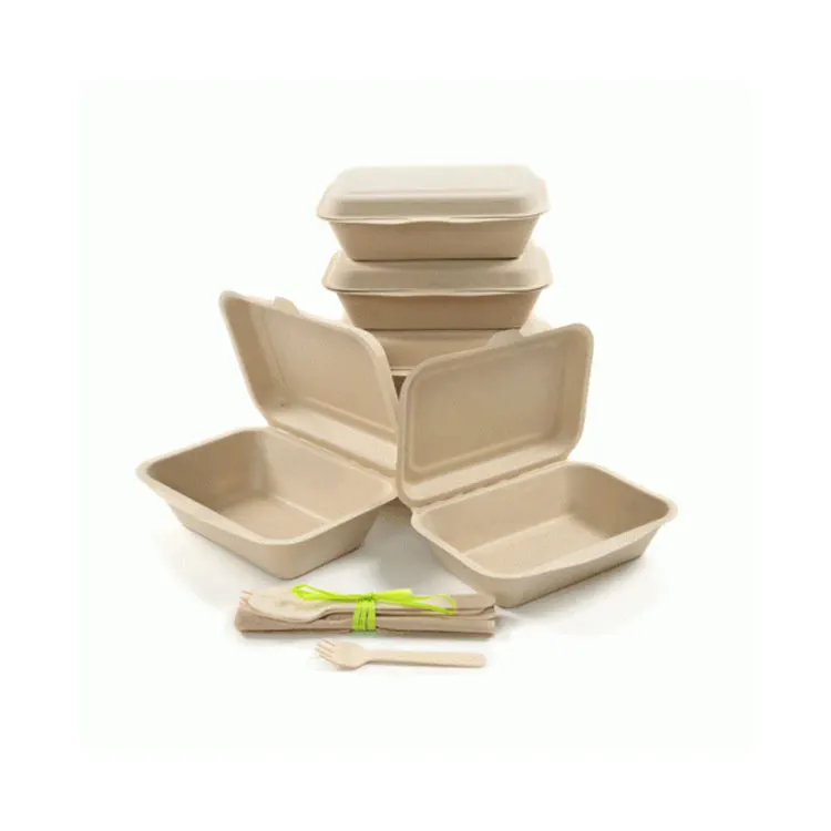 Custom Disposable Sugarcane Cardboard Bento Box Fast Food Container ...