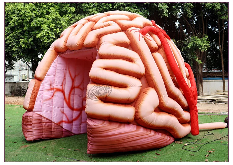 Inflatable Brain Channel Tent Air Model Mannequin Inflatable Mall ...