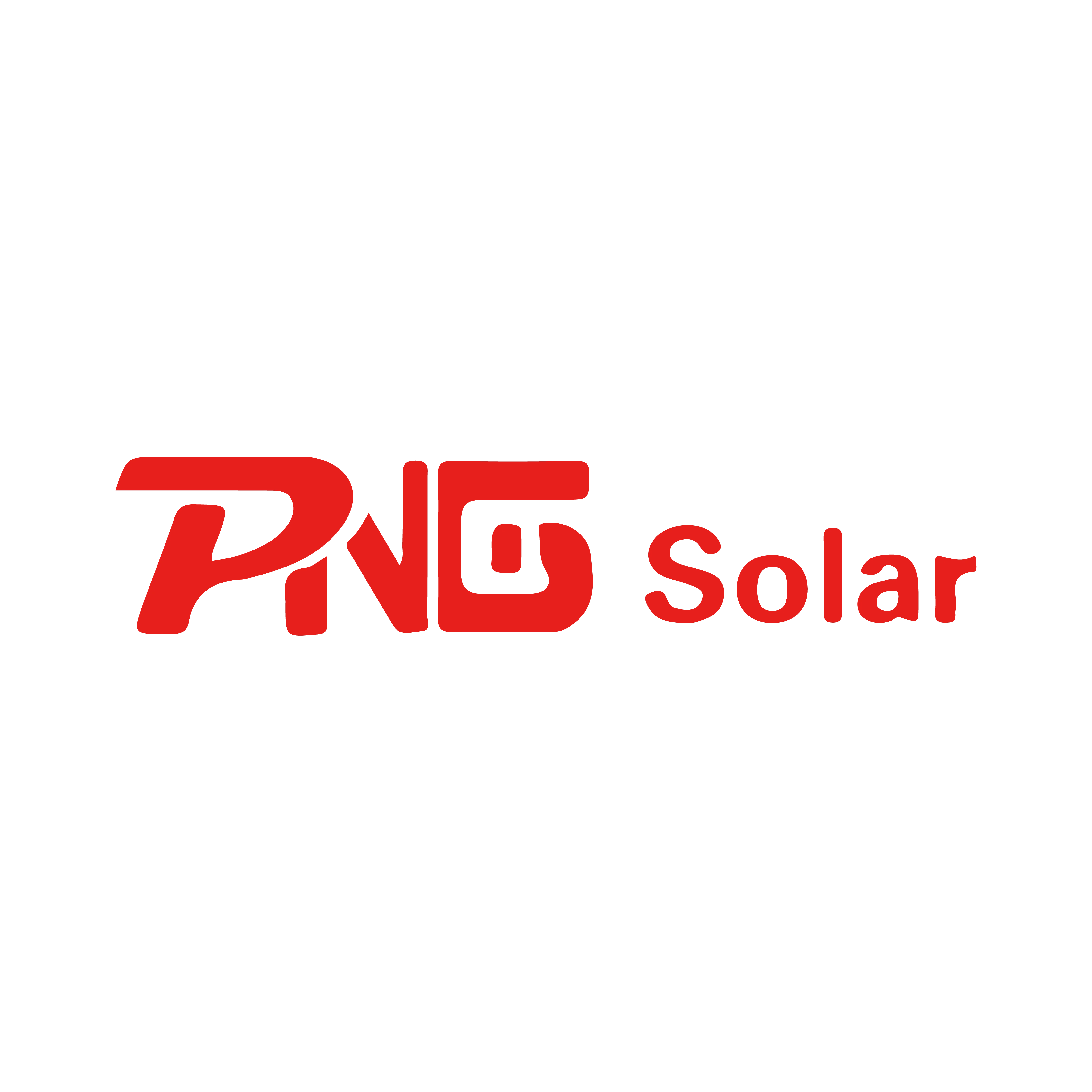 Company Overview - Png Solar Co., Ltd.