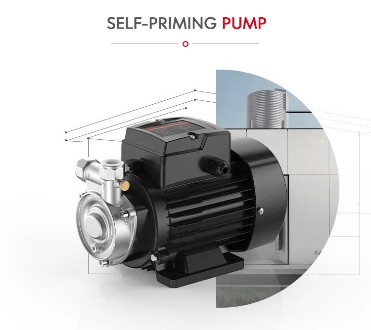 220V Electric Vortex Booster Pump - High Pressure for Homes