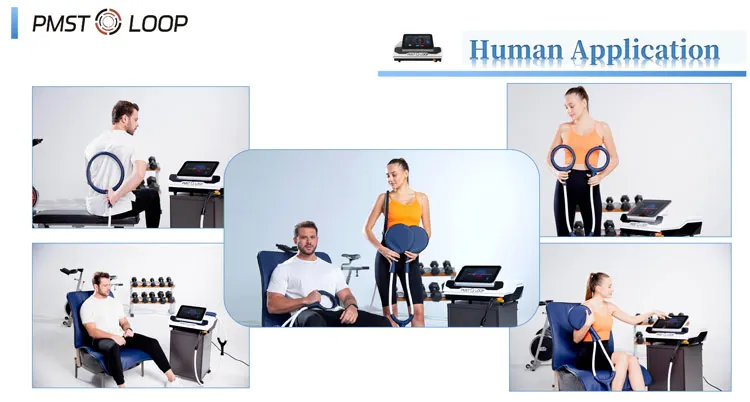 Newest Machines Pmst Loop Pro Max Pemf Magnetic Therapy Device ...