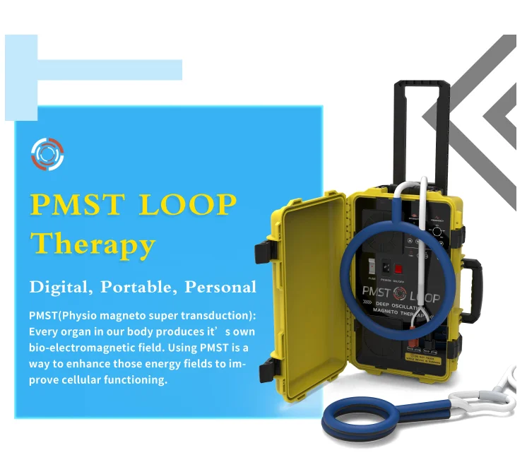 2024 Veterinary Equipments Pemf Horse Pmst Loop For Horse Pain ...