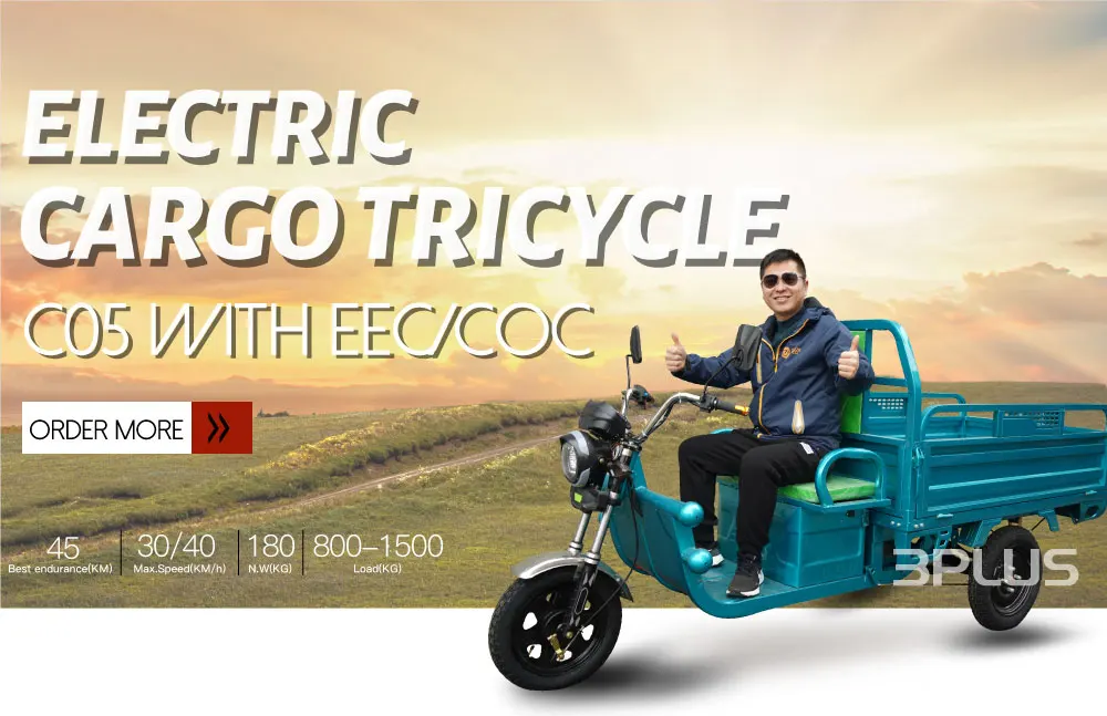 2022 Best Safety And Popular 60v 1000w Electric Tricycle For Cargohigh ...