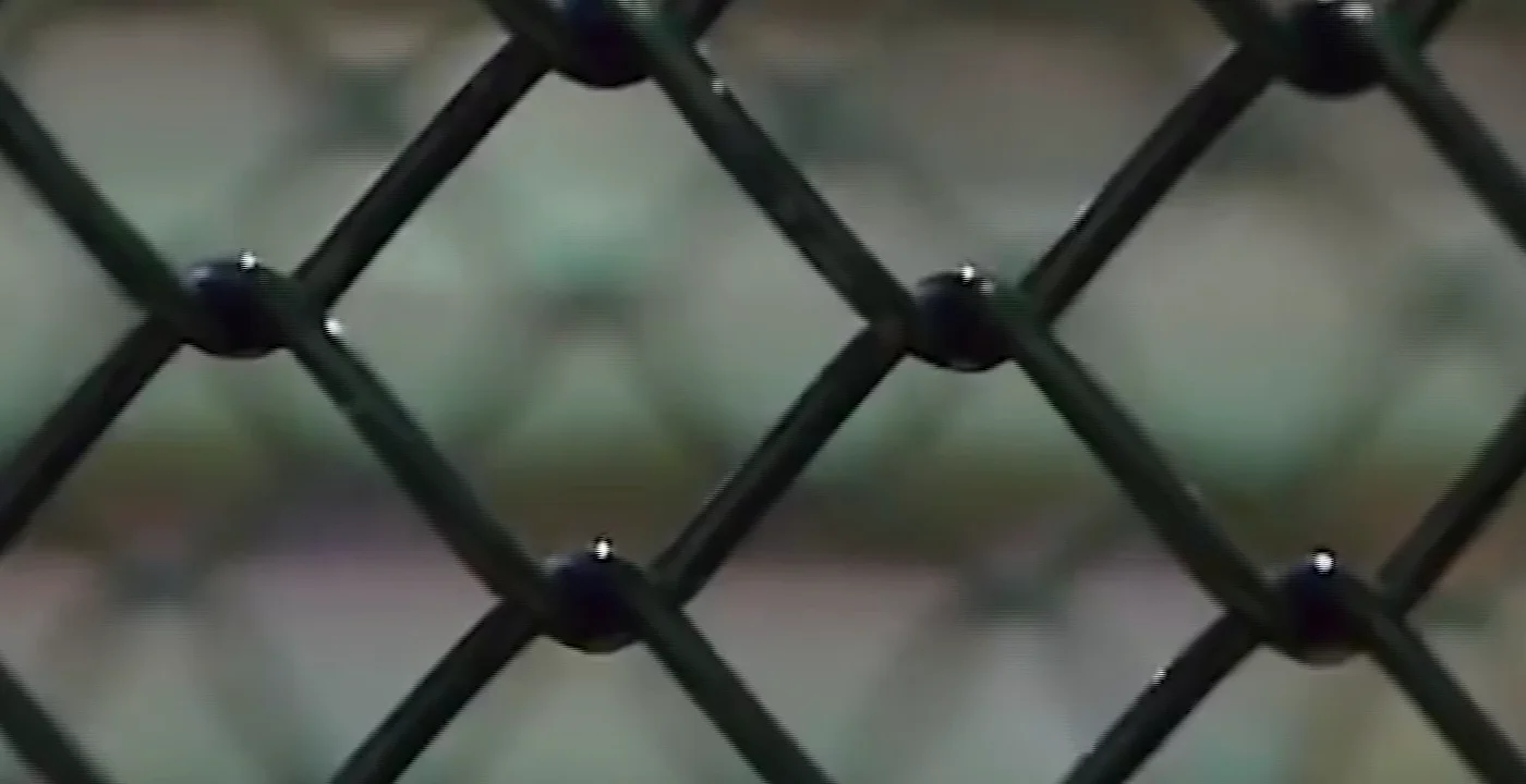 Pvc Coated 1x1 Wire Mesh Fencing Chain Link Fence Tension Wire For ...