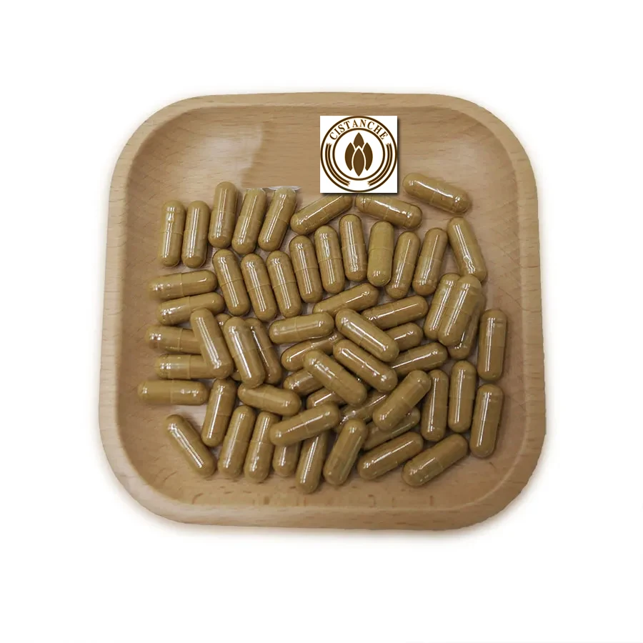 120 Capsules/pack Improve Enhance Immunity Cistanche Tubulosa Extract ...