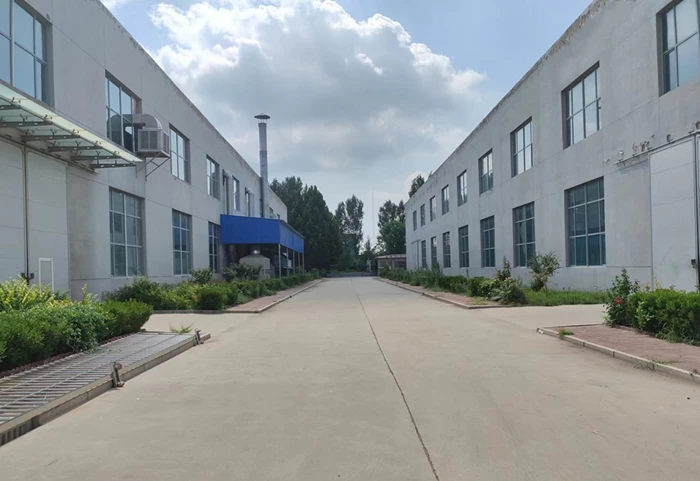 Genuine Rear Shock Absorber Rubber Buffer for VW & Others