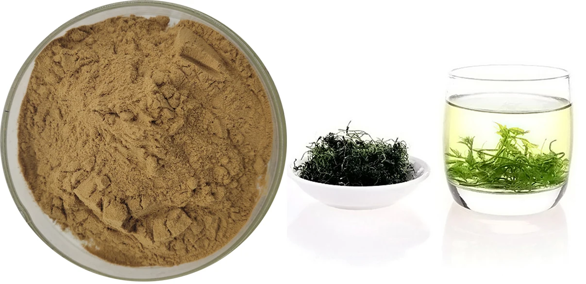 Best Selling Products Jiaogulan Gynostemma Pentaphyllum Extract ...