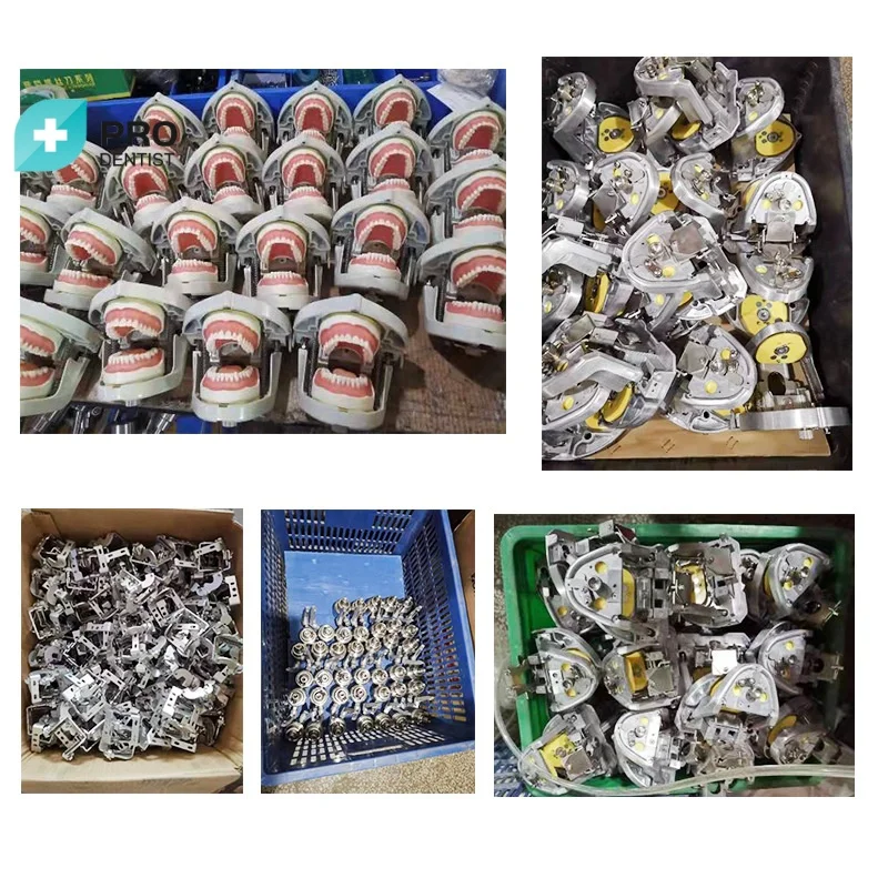 Orthodontic Typodonts Model - Gum Wax Embankment Teeth Practice Model ...