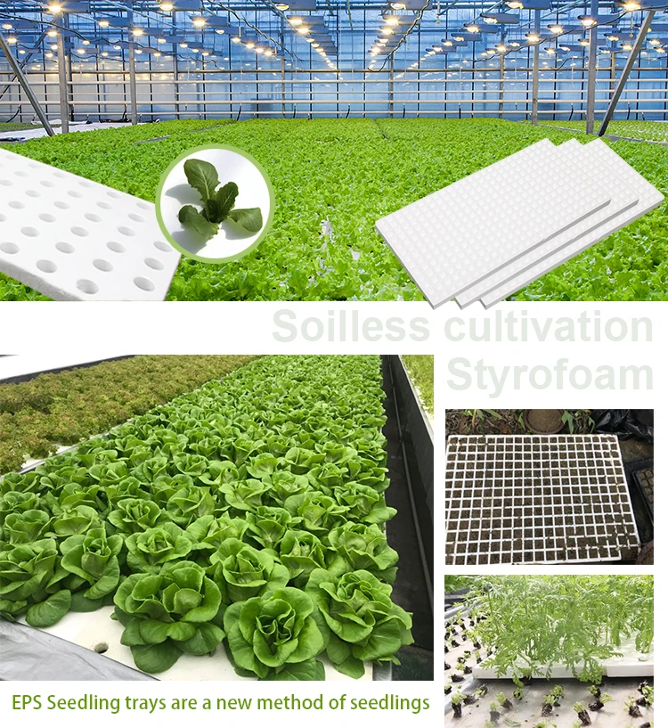 White Foam Seed Germination Tray for Rice Seedlings - 21325072100 Cells ...