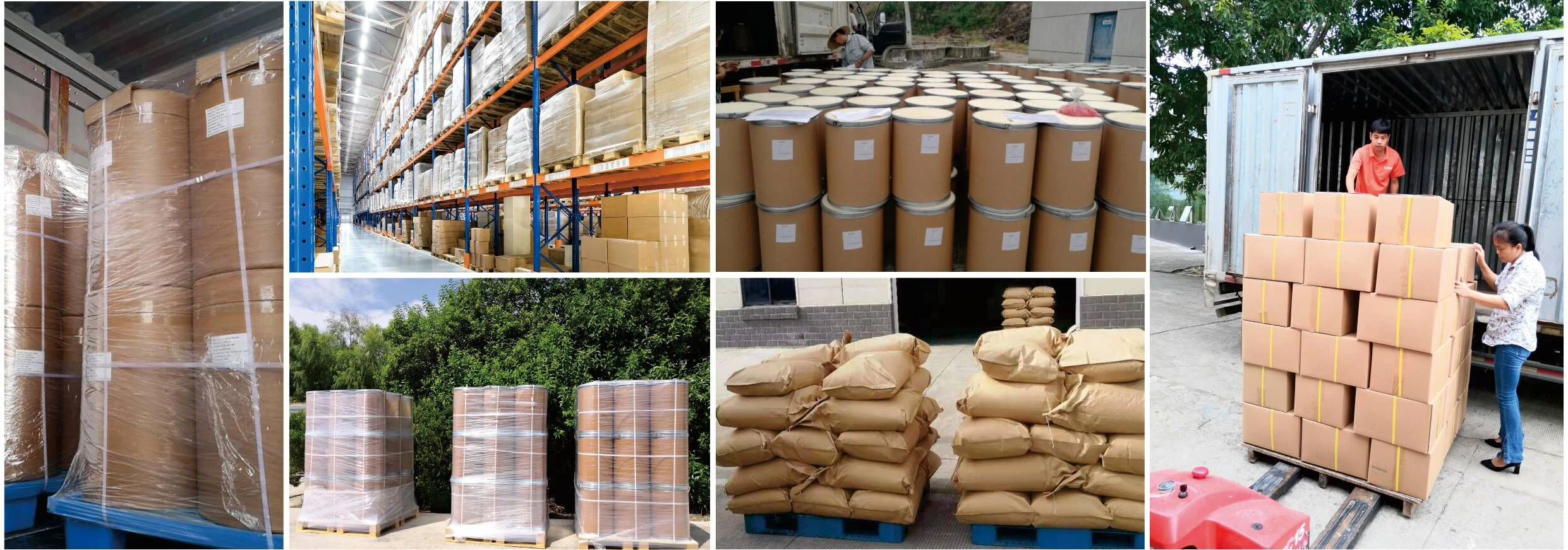 Althaea Officinalis L Althaea Officinalis Root Extract Powder 10:1 ...