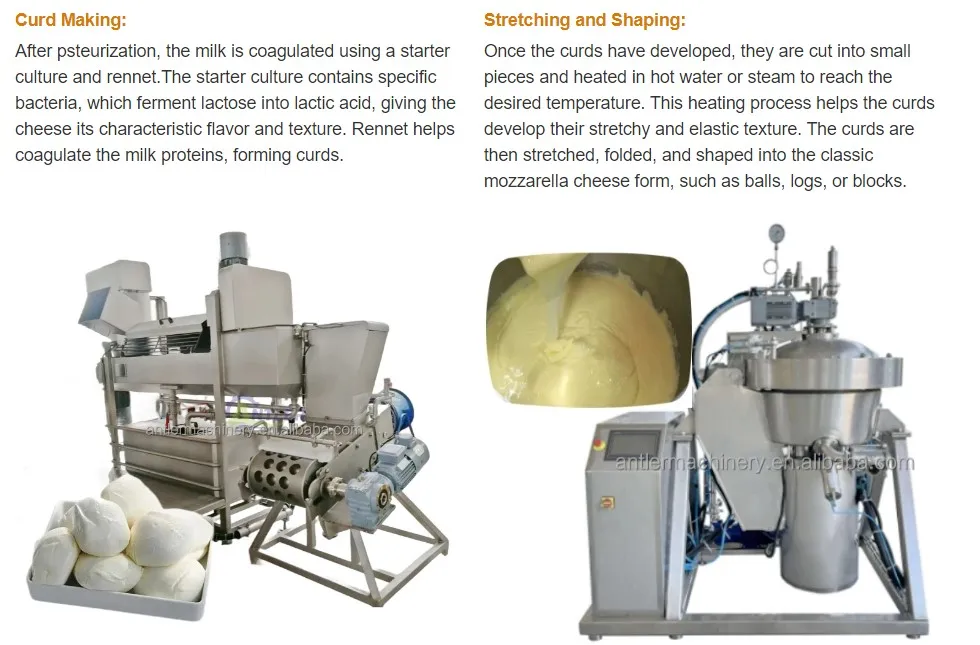 High-productivity Industrial Automatic Mozzarella Machines