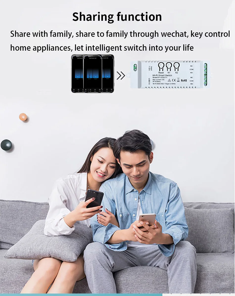 2CH Tuya Smart Switch WIFI Module Remote Control USB 5V 12V RF 433 mhz ...