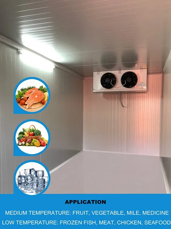 20ft 40ft Container Cold Room Chiller Freezer Container - Buy Freezer ...