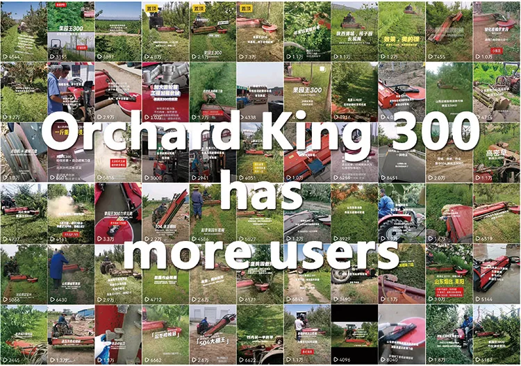 Flail Walk Behind Tree Row Solar Panel Orange Tree Mower Self Propelled ...